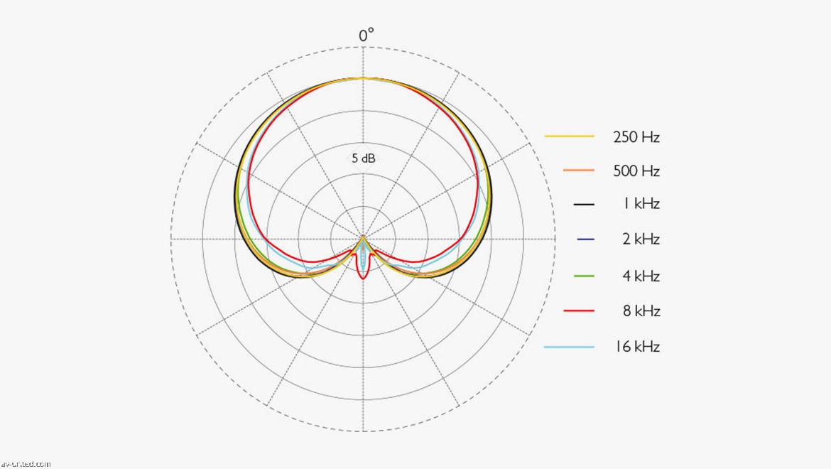 DPA 2012 Compact Cardioid Condenser Microphone